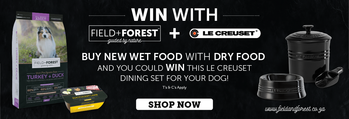 Buy Dog Food, Cat Food and Pet Products Online | Absolute Pets