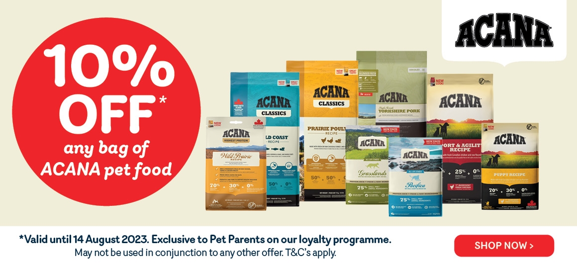Buy Dog Food, Cat Food and Pet Products Online | Absolute Pets