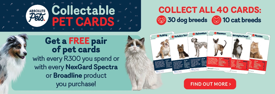 Buy Dog Food, Cat Food and Pet Products Online | Absolute Pets