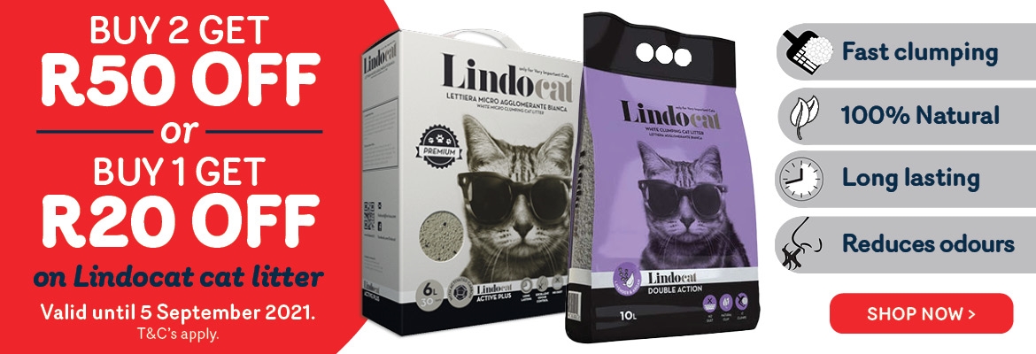 Buy Dog Food, Cat Food and Pet Products Online | Absolute Pets