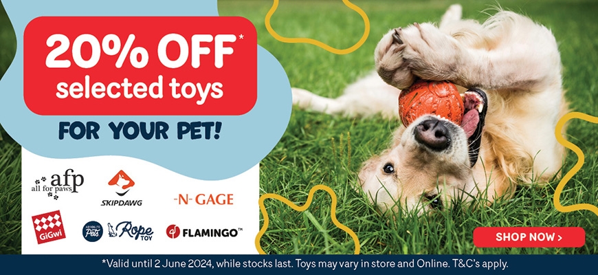 Buy Dog Food, Cat Food and Pet Products Online | Absolute Pets