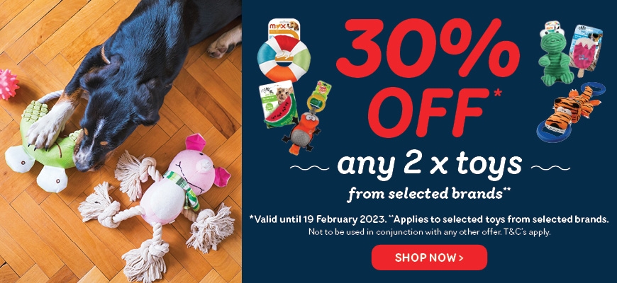 Buy Dog Food, Cat Food and Pet Products Online | Absolute Pets