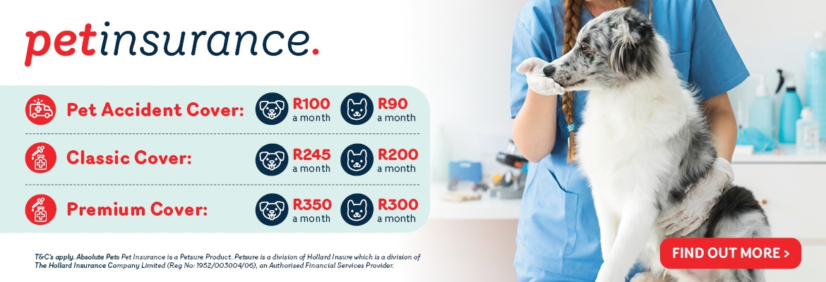 Buy Dog Food, Cat Food and Pet Products Online | Absolute Pets