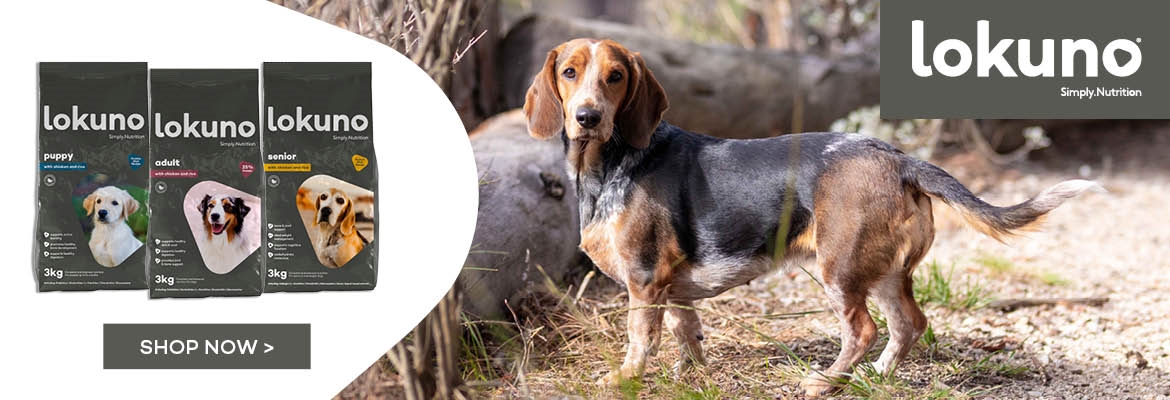 Buy Dog Food, Cat Food and Pet Products Online | Absolute Pets