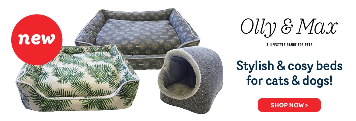 Buy Dog Food, Cat Food and Pet Products Online | Absolute Pets