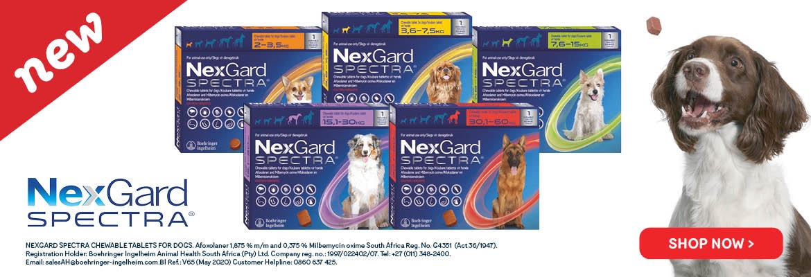 Buy Dog Food, Cat Food and Pet Products Online | Absolute Pets