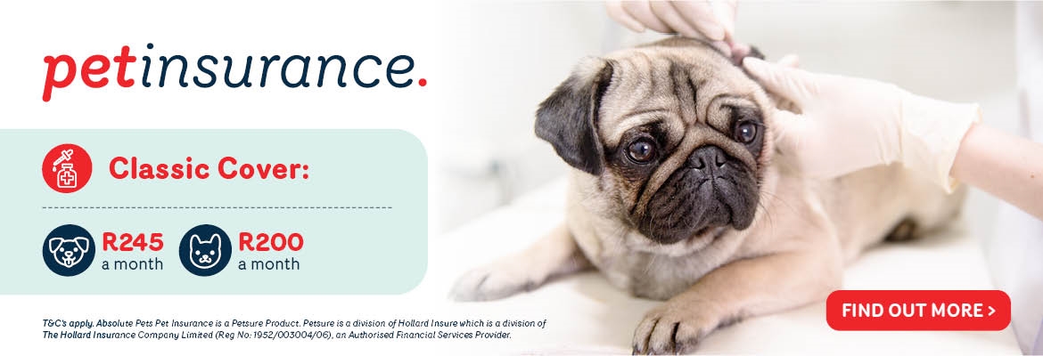 Buy Dog Food, Cat Food and Pet Products Online | Absolute Pets