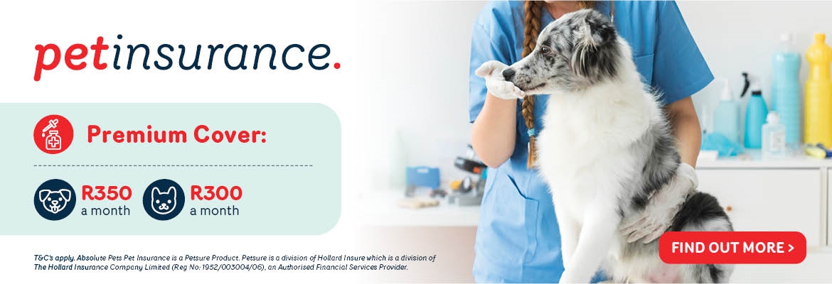 Buy Dog Food, Cat Food and Pet Products Online | Absolute Pets