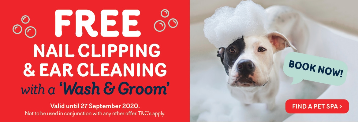 Buy Dog Food, Cat Food and Pet Products Online | Absolute Pets