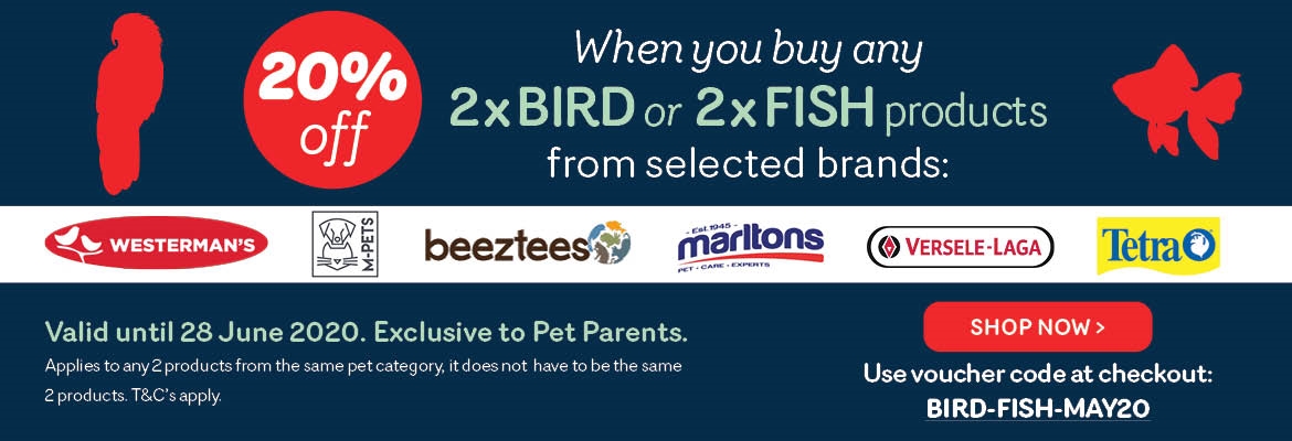 Buy Dog Food, Cat Food and Pet Products Online | Absolute Pets