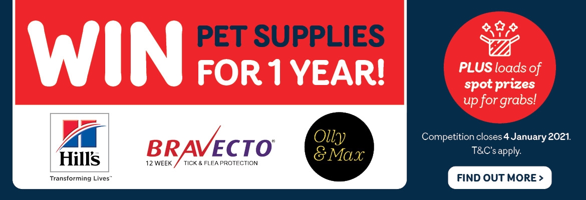 Buy Dog Food, Cat Food and Pet Products Online | Absolute Pets