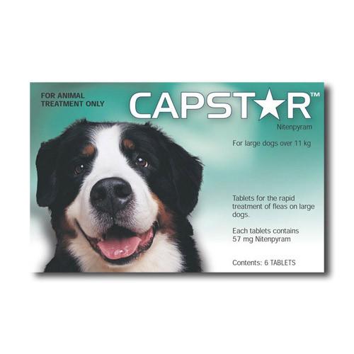 Capstar Dogs Over 11kg | Absolute Pets