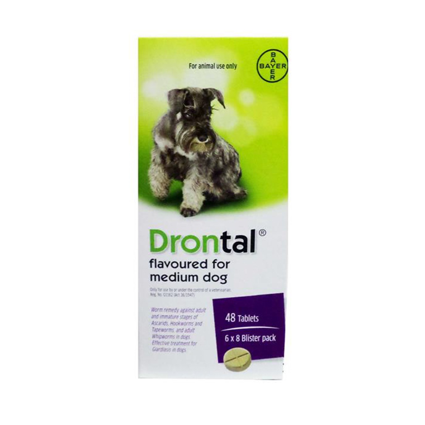 Drontal Flav Med Dog | Absolute Pets