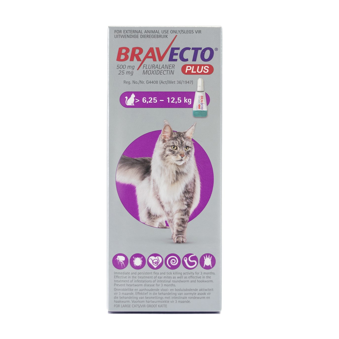 Bravecto Plus Cat Spot-on 6.25 - 12.5kg | Absolute Pets