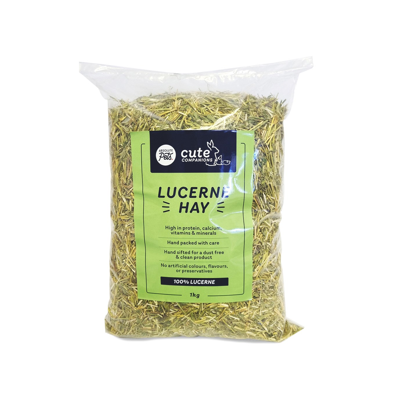 Cute Companion Lucerne | Absolute Pets