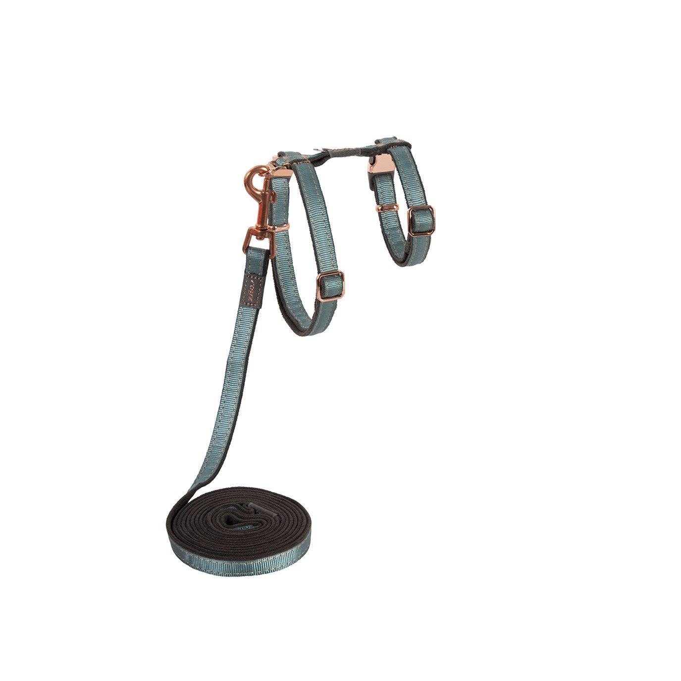 Rogz UrbanCat Control Harness and Lead - Turquoise | Absolute Pets