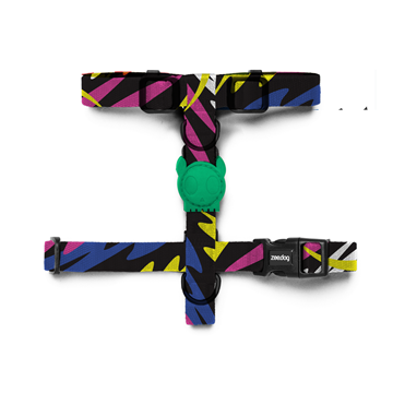 Dog Collars, Leads & Harnesses | Absolute Pets