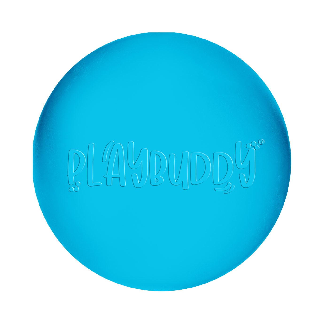 Playbuddy Ball (Blue) | Absolute Pets