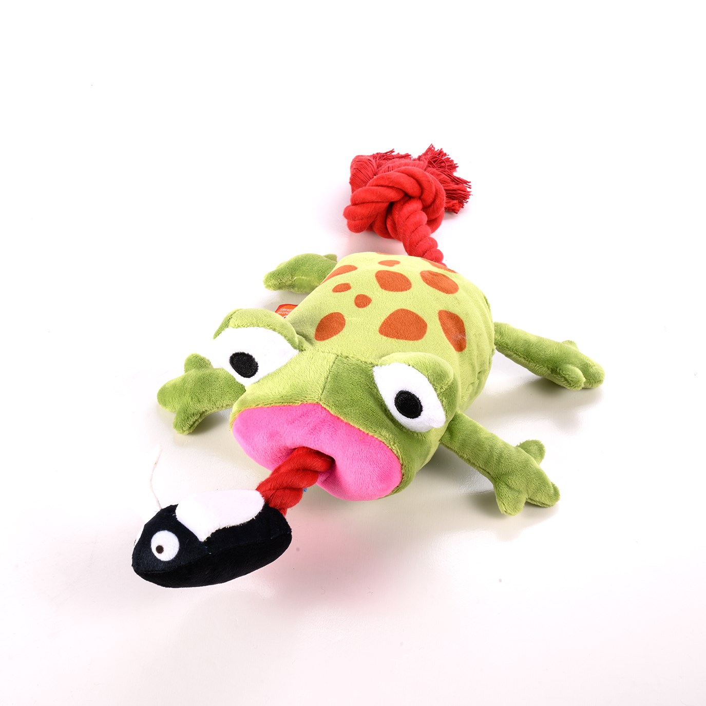 Dog's Life Frog VS Fly | Absolute Pets