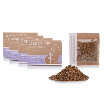 Cat Travel Essentials | Absolute Pets