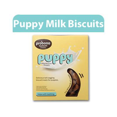 Probono Puppy Milk Biscuits 650g | Absolute Pets