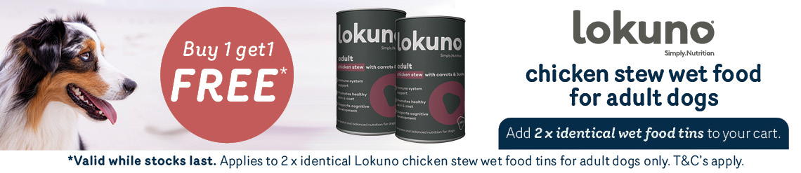 Dog Food | Absolute Pets