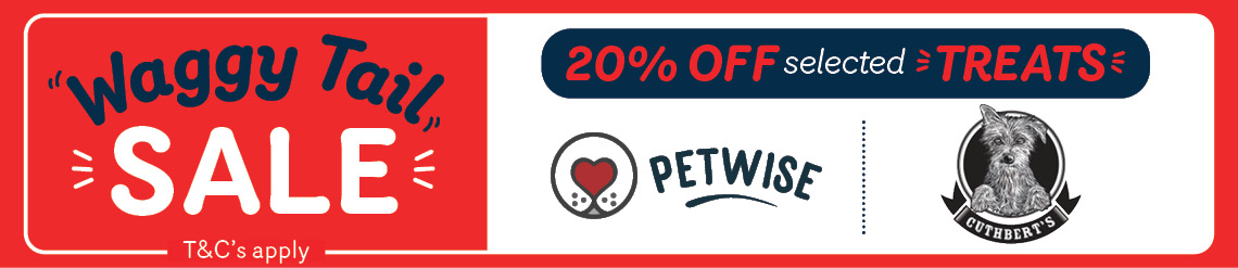 Dog Treats & Chews | Absolute Pets